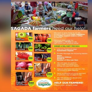 PhilFarm: - Sagada Farmer's Vegetable
